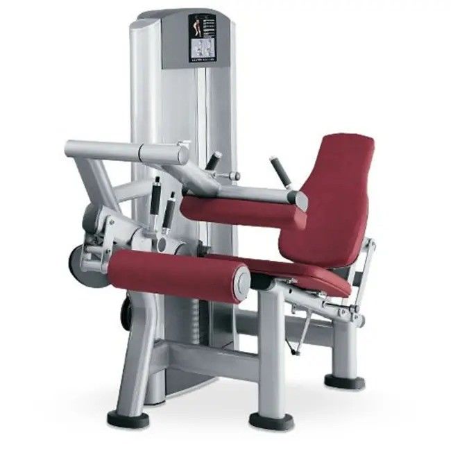 Commercial Gym Equipment Pin Loaded 2 in 1 Adjustable Seated Leg ...